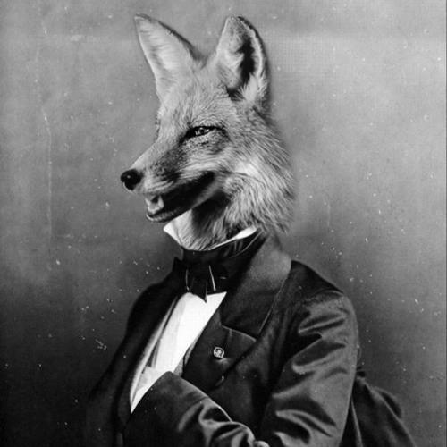 Stream MIDNIGHT DONERS by Mortimer the Fox | Listen online for free on ...