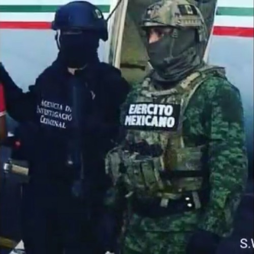 Stream ☠🦇FUERZA ESPECIAL DE REACCIÓN MÉXICO F.E.R. - F.E.A.M.🦇☠ - 1 by ...