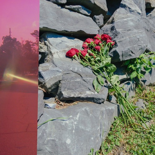 Stream absolute fantasy | Listen to 50 Abs Fans Can't Be Wrong playlist ...