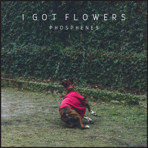 Stream I got flowers by Phosphenes | Listen online for free on SoundCloud