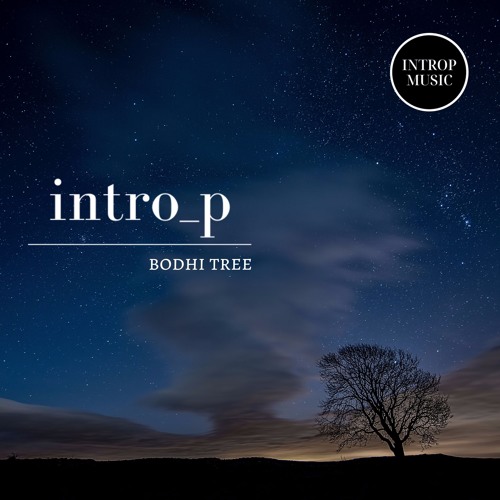 Stream Intro_p - Right Action (Original Mix) by Introp Music | Listen ...