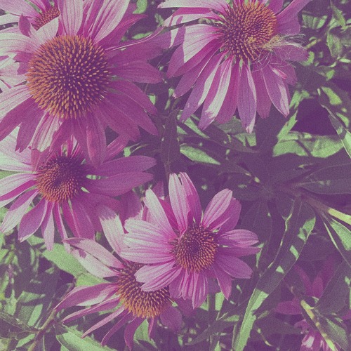 Stream Glowing (prod. Caleb Byers) by Caleb Byers | Listen online for ...