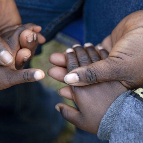 Stream News in Brief - 2 August 2019 - Ebola in DRC, tree planting ...