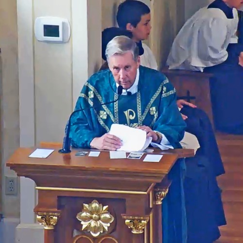 Stream Homily for the Seventeenth Sunday in Ordinary Time, July 28, 2019 (Novus Ordo) by St ...