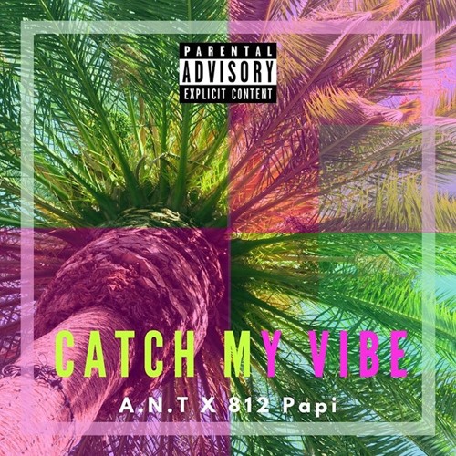 Stream Catch My Vibe (A.N.T X 812 Papi) by 812 Papi | Listen online for ...