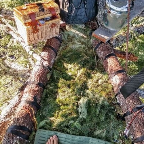 Stream Rainbow Ridge Tree Sitter Descends After 2 Months by KMUD News ...