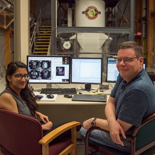 Stream $3.3 million NIH grant to fund MagLab research by Florida State ...