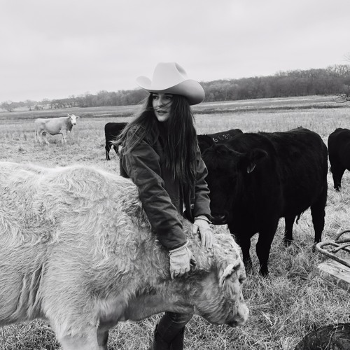 Stream Midnight Cowboy (Paulette, Trussell, Bundy) by Jenna Paulette ...