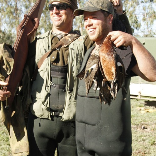 Stream Shotgun Marriage (Ban Duck Shooting) by Debbie Lustig | Listen ...