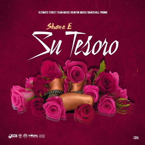 Stream Shane E - Su Tesoro (Clean) by Dream Sound Media Promo | Listen ...