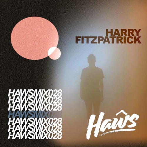 Stream HAWSMIX028 / Harry Fitzpatrick by Haŵs | Listen online for free ...