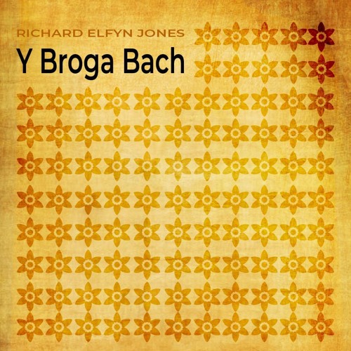 Stream Y Broga Bach by Richard Elfyn Jones | Listen online for free on ...