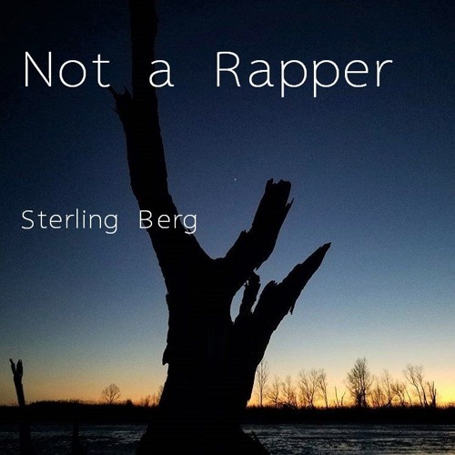 Stream That's Not The Point by Sterling Berg | Listen online for free ...