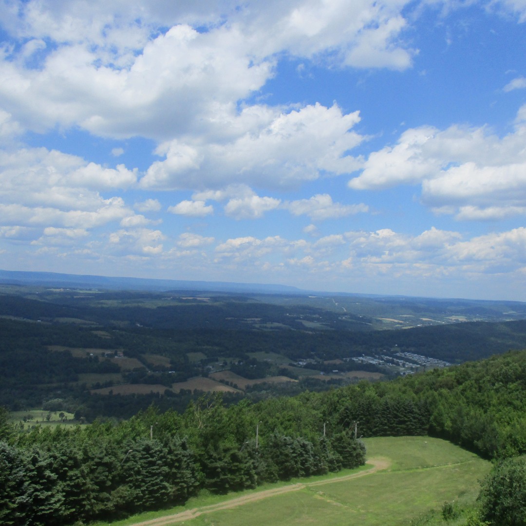 Stream The Eagle by Steve Roberti | Listen online for free on SoundCloud