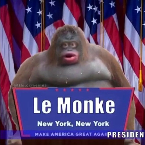 Stream le monke (prod. yung tayo) by yung tayo | Listen online for free ...