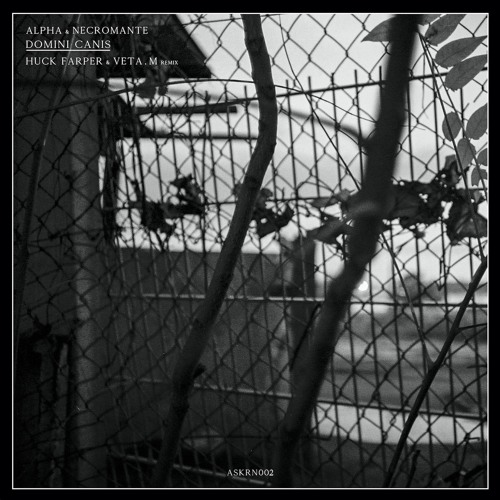 Stream ASKORN RECORDS | Listen to Alpha & Necromante - Domini Canis EP ...