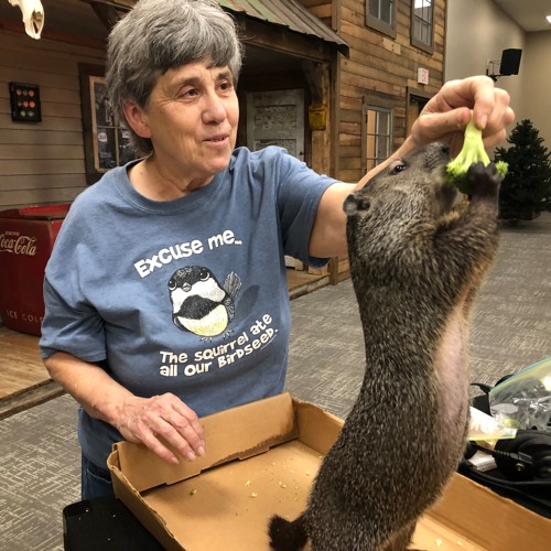 Stream episode TW 149 - Wildlife’s Hero, Lynne McCoy by Tennessee ...