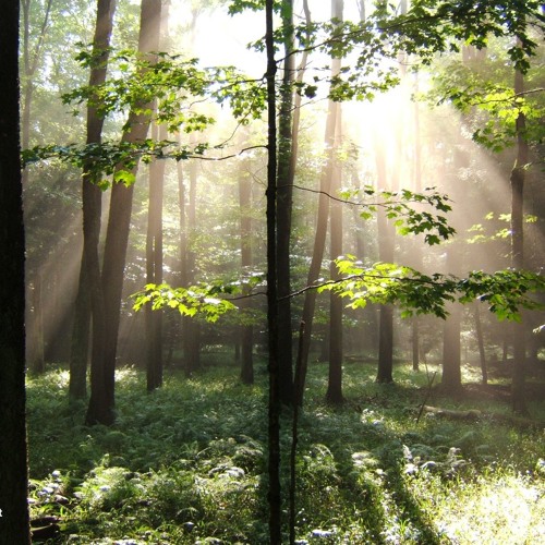 Stream The Evolution of Summer Mix 2019 by Fictional Fantasy | Listen ... Stream The Evolution of Summer Mix 2019 by Fictional Fantasy | Listen ...