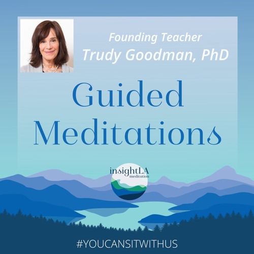 Stream InsightLA | Listen to Trudy Goodman: Guided Meditations playlist ...