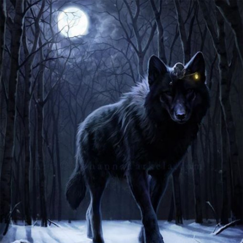 Stream Midnight Wolf Trance by TriMecha | Listen online for free on ...