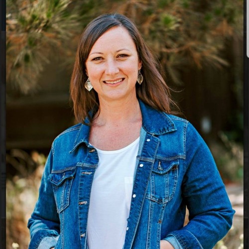 Stream episode Softec WIT Podcast Episode 6—Shannon Stamey on Shame and ...