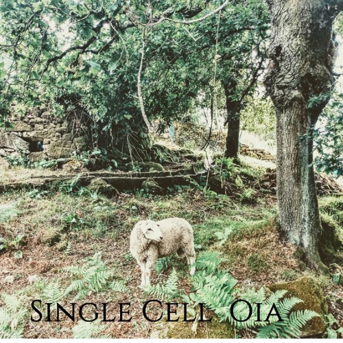 Stream Sore Throat by Neill Raath | Listen online for free on SoundCloud