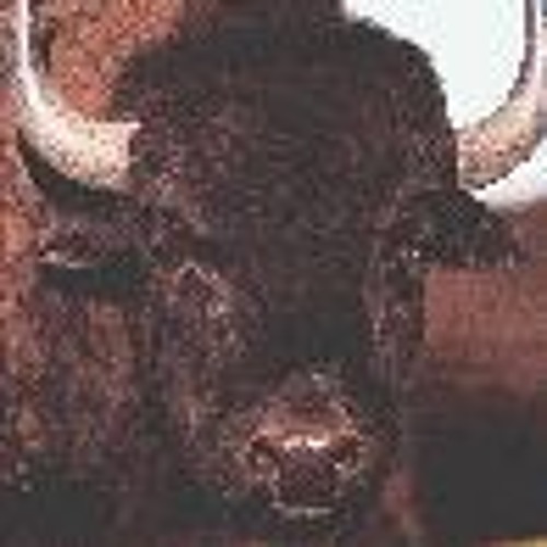 Stream PBS SoCal | Listen to Roger McGuinn's Folk Den Songs playlist ...