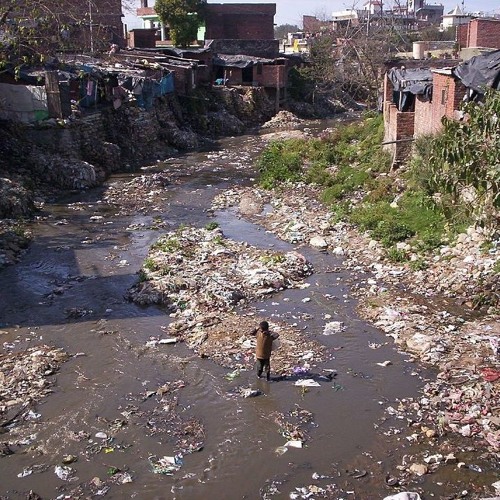 Stream Tish Sanghera: As the Amazon Burns, India’s Must Look At Its Own ...