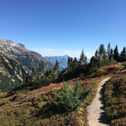 Stream Elevated Fences by Angelo Radano | Listen online for free on ...