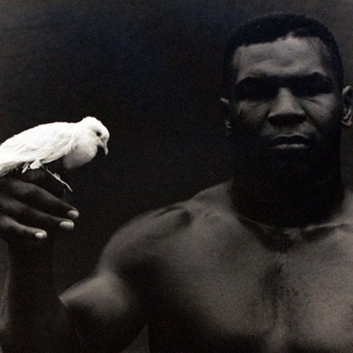 Stream real by thundaa | Listen online for free on SoundCloud
