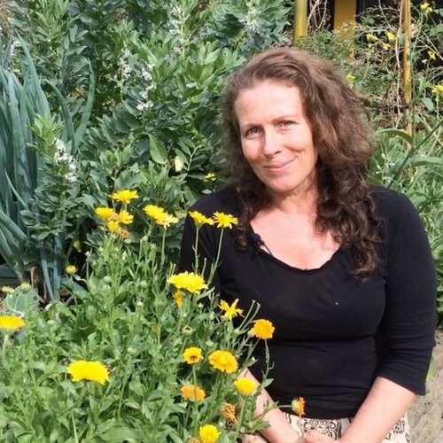 Stream episode Pip Podcast #24 with Morag Gamble: Our Permaculture Life ...