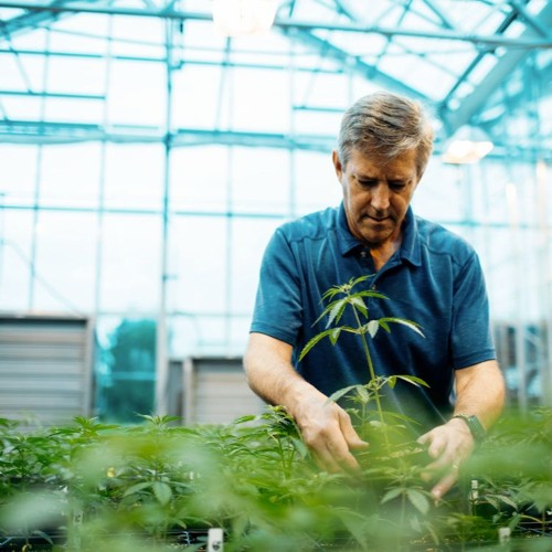 Stream Part 1: Cutting Through the Hemp Haze with Larry Smart by ...