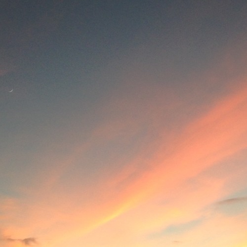 Stream tyler durden - madison beer (cover) by laynie | Listen online ...