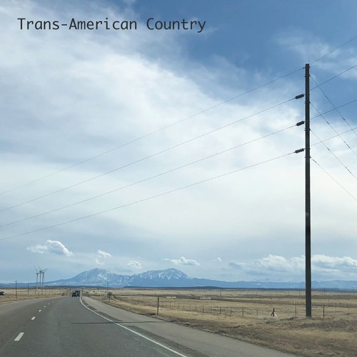 Stream Alison Young | Listen to Trans-American Country playlist online ...