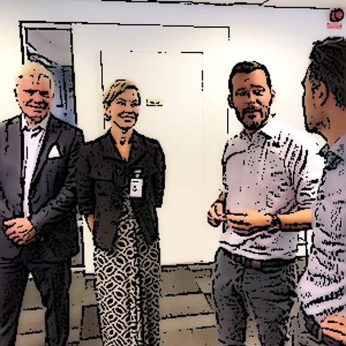 Stream episode Så hittar du rätt i hälsovårdssektorn (v. 36) by ...