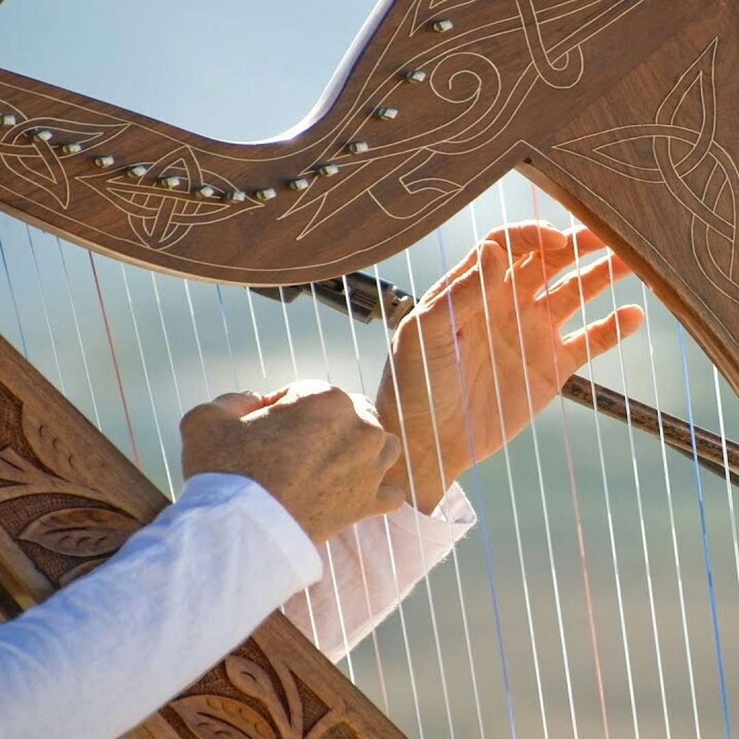 Stream anne-van-schothorst-a-bird-came-flying.mp3 by Amer Elnabawi ...