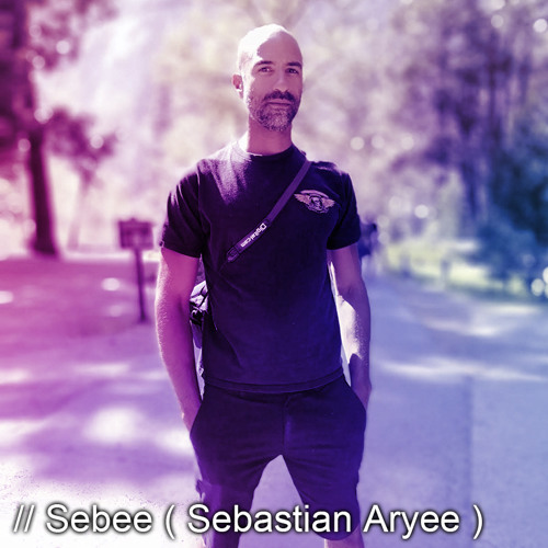 Stream Sebee (Sebastian Aryee) - Sterne am Horizont ( Interview & Mix ...