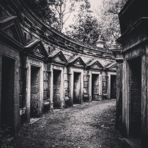 Stream The Highgate Vampire from London Dreamtime | Listen online for ...