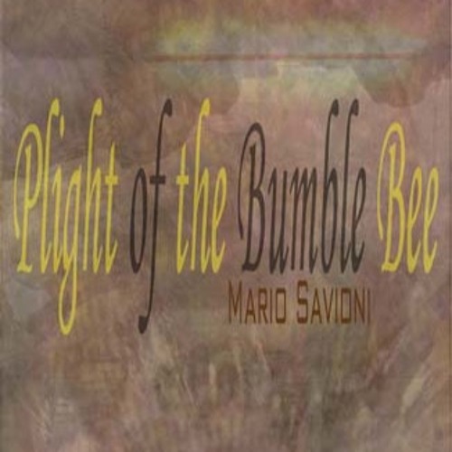 Stream Plight of the Bumble Bee by Mario Savioni | Listen online for ...