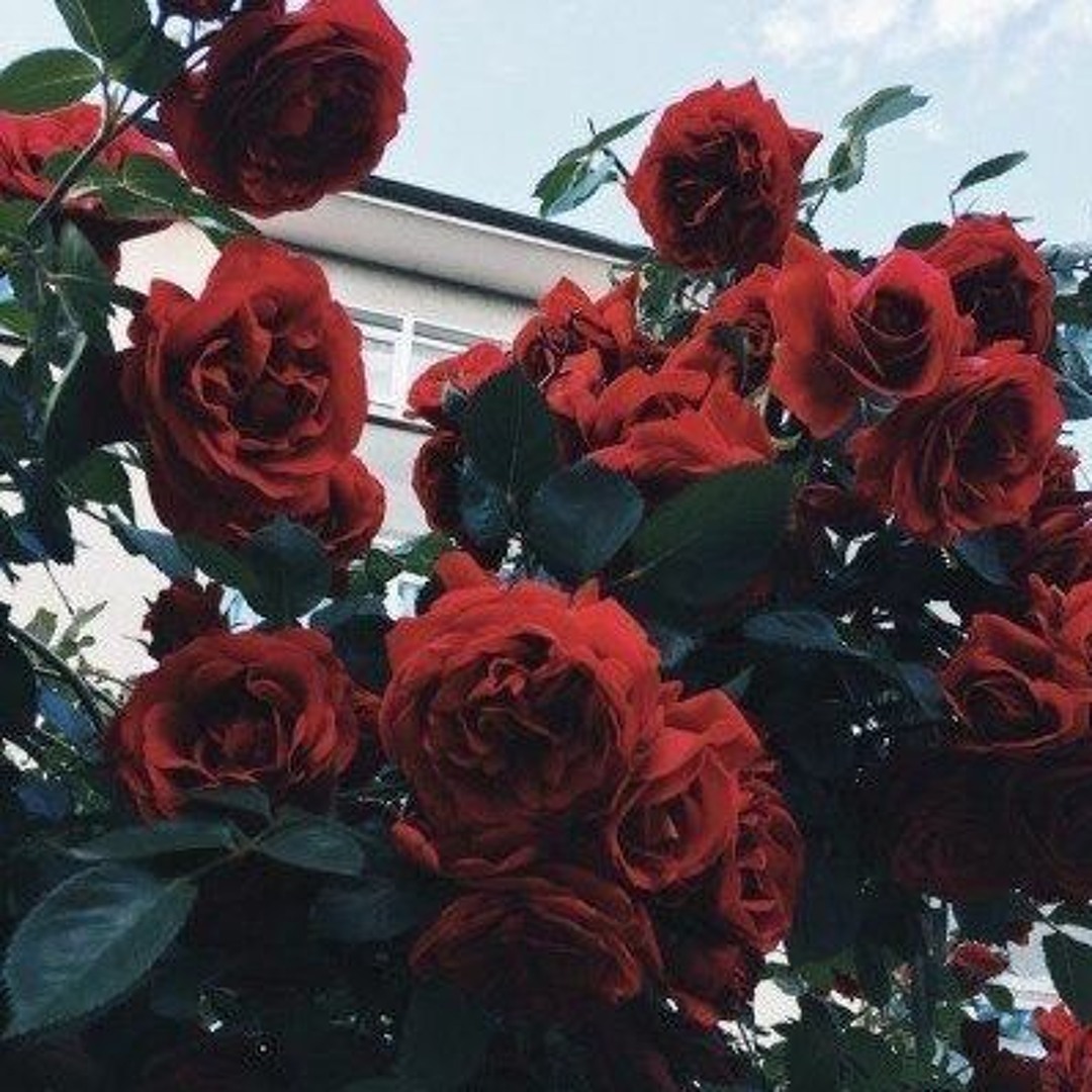 Stream Prod. leto- girl come through and let's do what we do in your ...