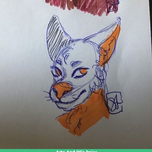 Stream Star party meme by Nate!!! X3 | Listen online for free on SoundCloud