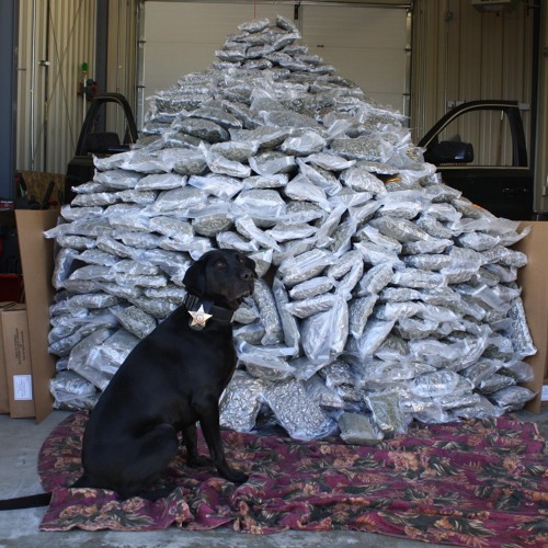 Stream eric - "pound of weed" (ruby arthur mix) by The Collected ...