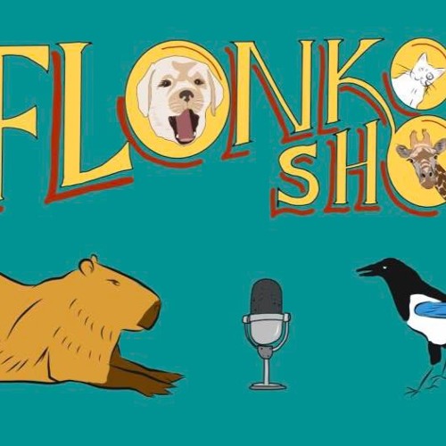 Stream episode The Flonko Show - Episode 5 by Wonko the Sane podcast ...