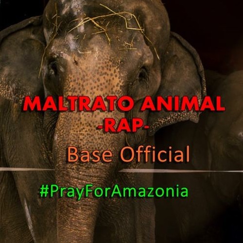 Stream MALTRATO ANIMAL RAP - Base Official #PrayforAmazonia by Base ...