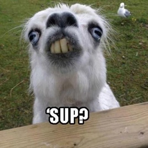 Stream Flixz | Listen to mEmEs playlist online for free on SoundCloud