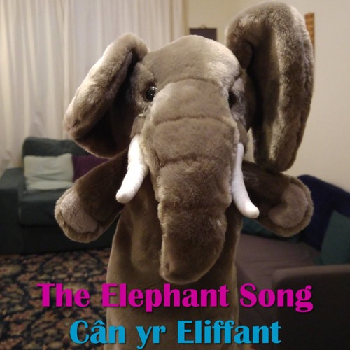 Stream The Elephant Song / Cân yr Eliffant by Simon Ager | Listen ...