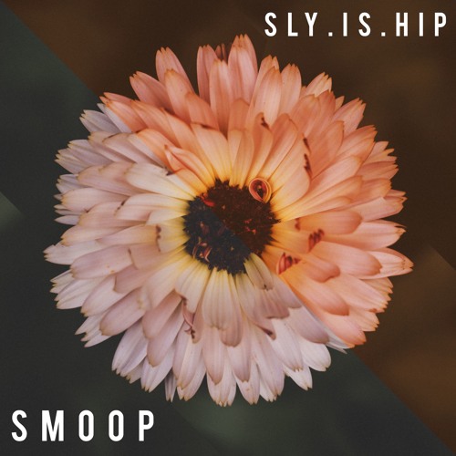 Stream Smoop by sly.is.hip | Listen online for free on SoundCloud