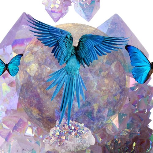 Stream Positive Affirmations by Ruby Bliss | Listen online for free on ...