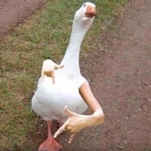 Stream World Flower - New Super Mario Bros. 2 OST by Nate | Listen ...