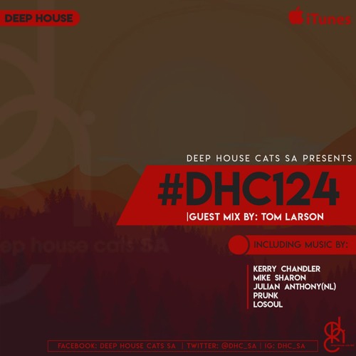 Stream #DHC124 - Guest Mix By DJ Tom Larson [Germany] by Deep House ...